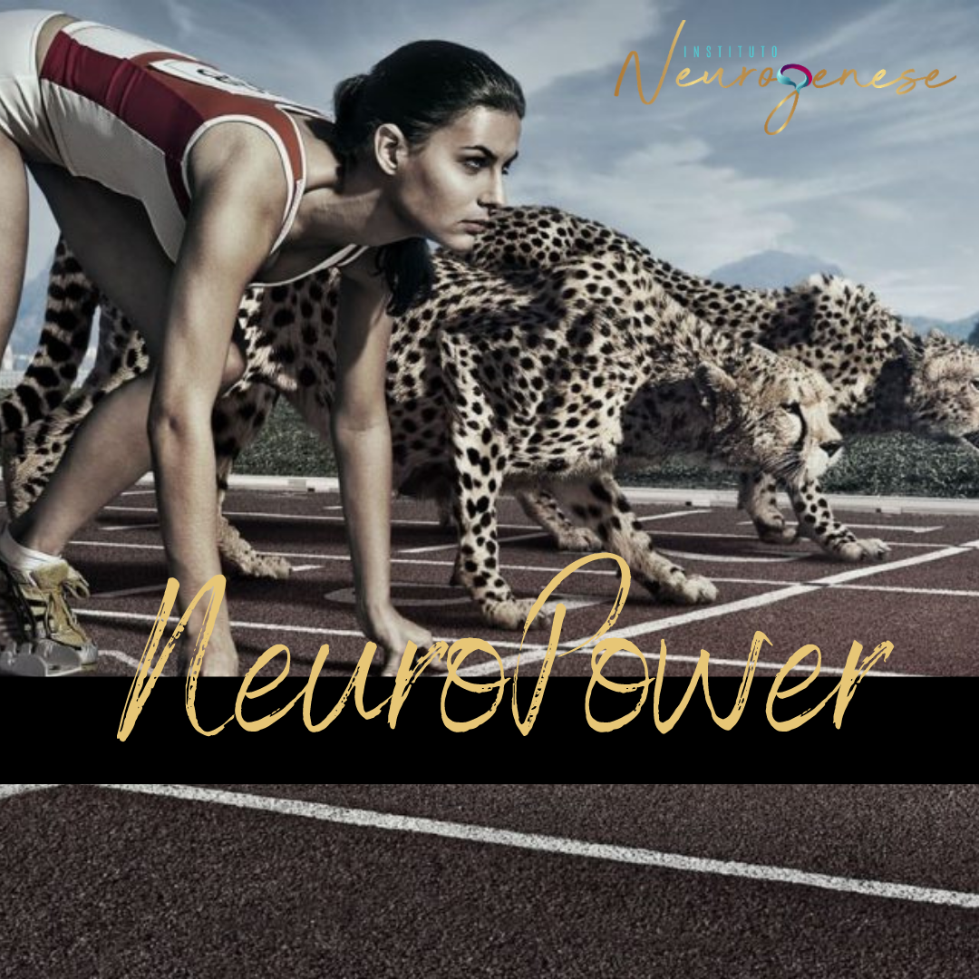 Instituto Neurogenese – Coach | PNL | Hipnoterapia | Neurociência Aplicada